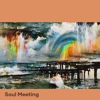 Soul Meeting - Chasing the illusion of Serendipity | TikTok