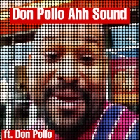Producer of Ohio - Don Pollo Ahh Sound (feat. Don Pollo) | TikTok