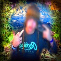 smokedope2016 - In Da Party | TikTok