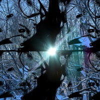 cybershmonka - Savior | TikTok