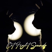 Nay Project - Cat Fight Sounds | TikTok