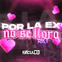FACUU DJ - Por La Ex No Se Llora RKT | TikTok