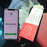 Punchmade Dev - Wire Fraud Tutorial | TikTok