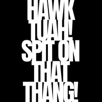 Ash Fields - Hawk Tuah, Spit On That Thang | TikTok