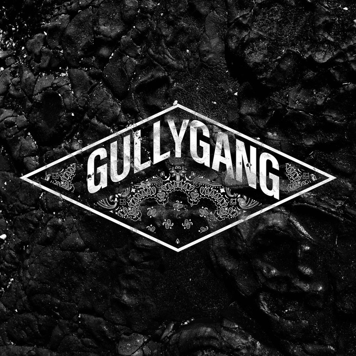 🦄 @gullygangindia - GULLY GANG - TikTok