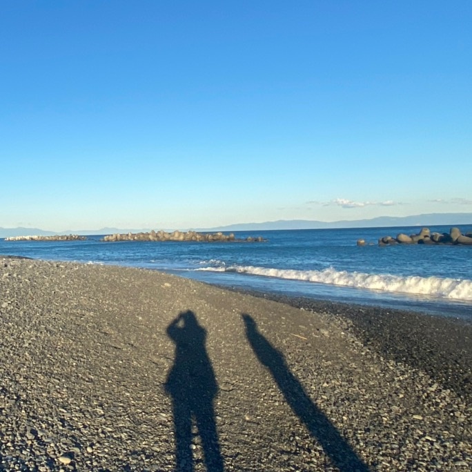 〆🐼 (@sime_to) - Urlebird