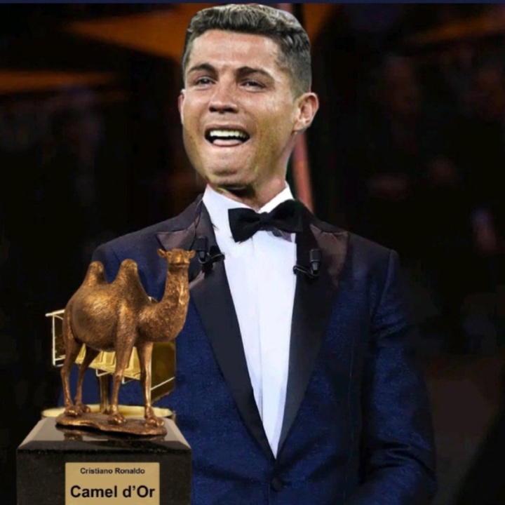 🦄 @penduthecamel - Penaldo the penalty hunter - TikTok