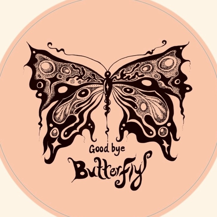 🦄 @goodbyebutterflyband - goodbye butterfly - TikTok