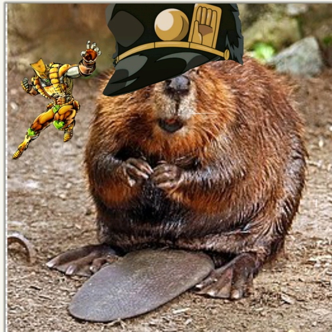 🦄 @jojo_bober - БОБЁР_ Jojo fuxvubxhcjvsgtzgx - TikTok