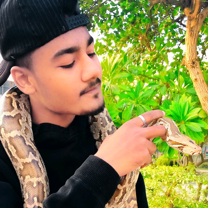 🦄 @officialdaniraja - DANI RAJA - TikTok