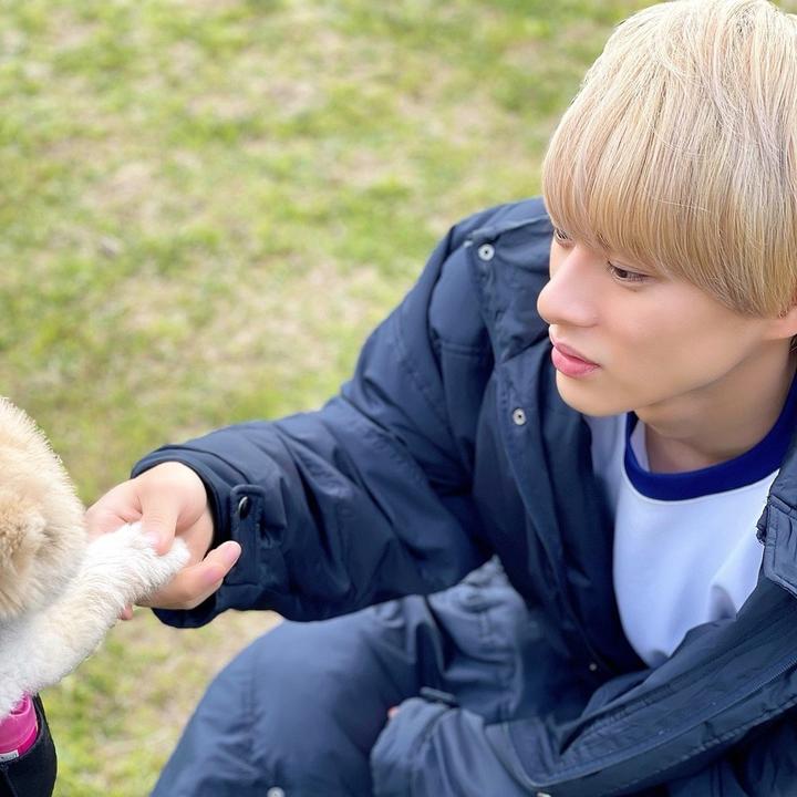 🦄 @sho_0129_kun - yu__ - TikTok