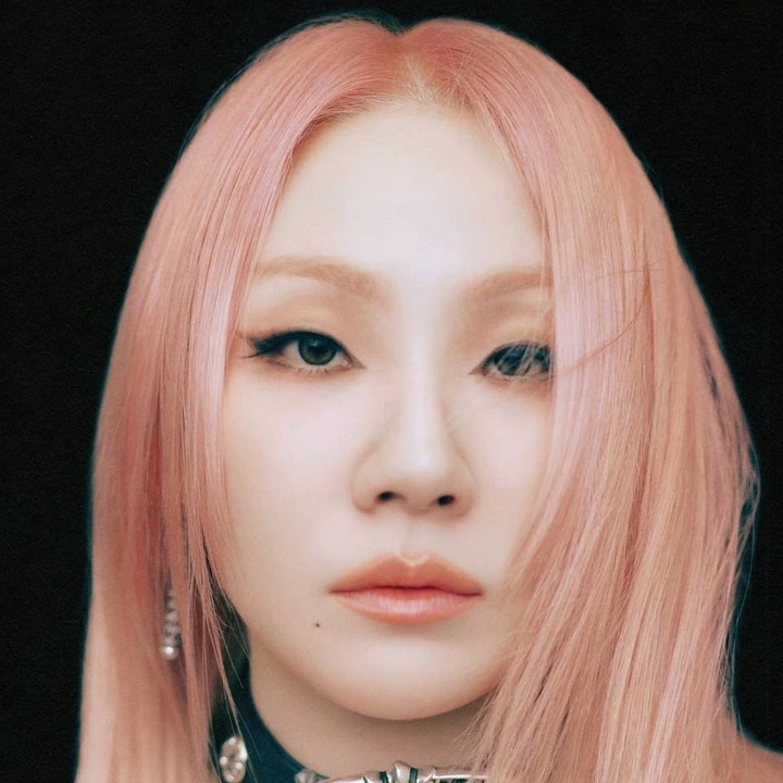 Rapper CL is 🔥 #cl #chaelincl | TheBaddestFemale_CL (@thebaddestfemale_cl)