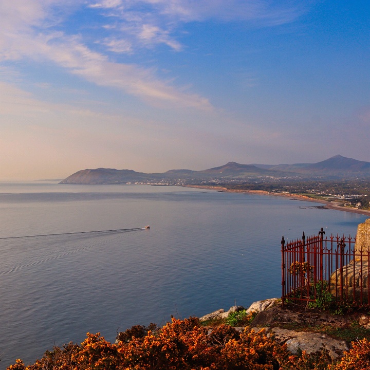 🦄 @killineyhill - John Fitzpatrick - TikTok