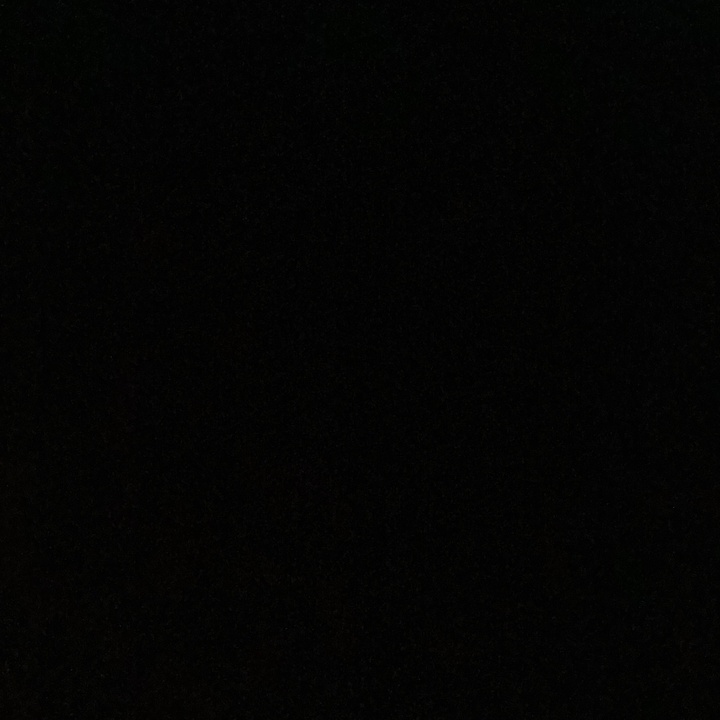 🦄 @tokyo_rabbits - 東京ラビッツ - TikTok