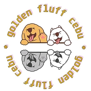 🦄 @goldenfluffcebu - FB: Golden Fluff Cebu - TikTok