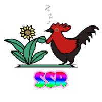 🦄 @sleepysunnyroosters - Sleepy Sunny Roosters - TikTok