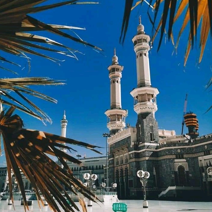 🦄 @salmankhan786_official - SALMAN KHAN 786 - TikTok