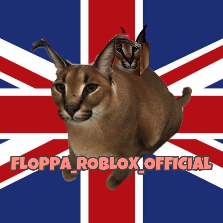 🦄 @floppa_roblox_official - Роблокс и другое - TikTok