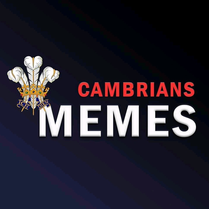 🦄 @cambrians_memes - Cambrians_Memes - TikTok