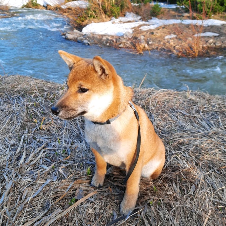 🦄 @yamaha_yama_ai - yamaha_yama_ai - TikTok