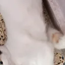 HD ABLA (@_hd.abla) - Urlebird