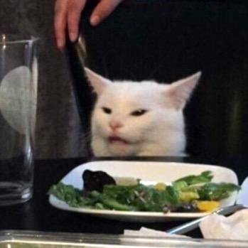 #vhjj - TikTok Hashtag