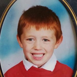 Tomo - @tomovids TikTok Analytics | Profile, videos & hashtags | Exolyt