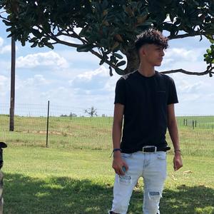 Bryan_Sanchezz - @bryan_sanchez___ TikTok Analytics | Profile, videos ...