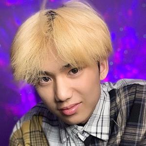 Hao - @haofx TikTok Analytics | Profile, videos & hashtags | Exolyt