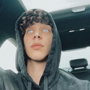 Jack - @jackbono TikTok Analytics | Profile, videos & hashtags | Exolyt