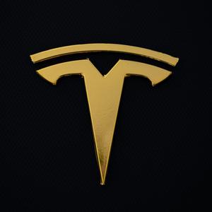 The Golden Tesla - @the_golden_tesla TikTok Analytics | Profile, videos ...