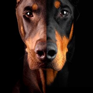 rubydooby_do- @rubydooby_do TikTok 分析|プロフィール、動画、ハッシュタグ | Exolyt