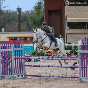 omar_cavalier 🐎🐴 - @omaryabou TikTok Analytics | Profile, videos ...